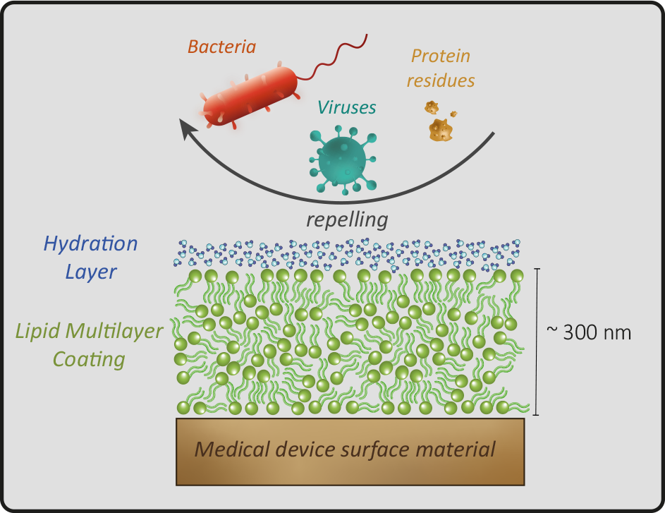 Catheter coating - LipoCoat - Bio inspired coatings